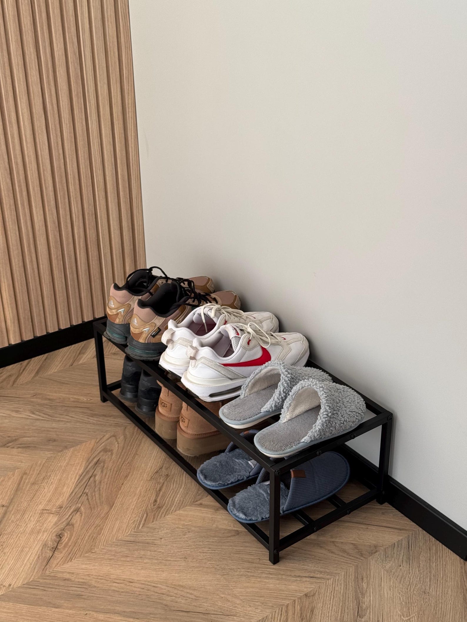 Hallway 2 Tier Metal Shoe Rack, Entryway Modern Shoe Organizer, Xmas ...