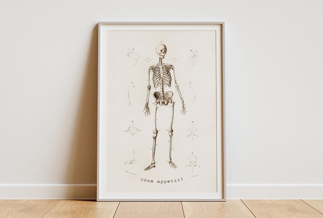 Bone Appetit Skeleton Kitchen Poster | Funny Kitchen Decor ...