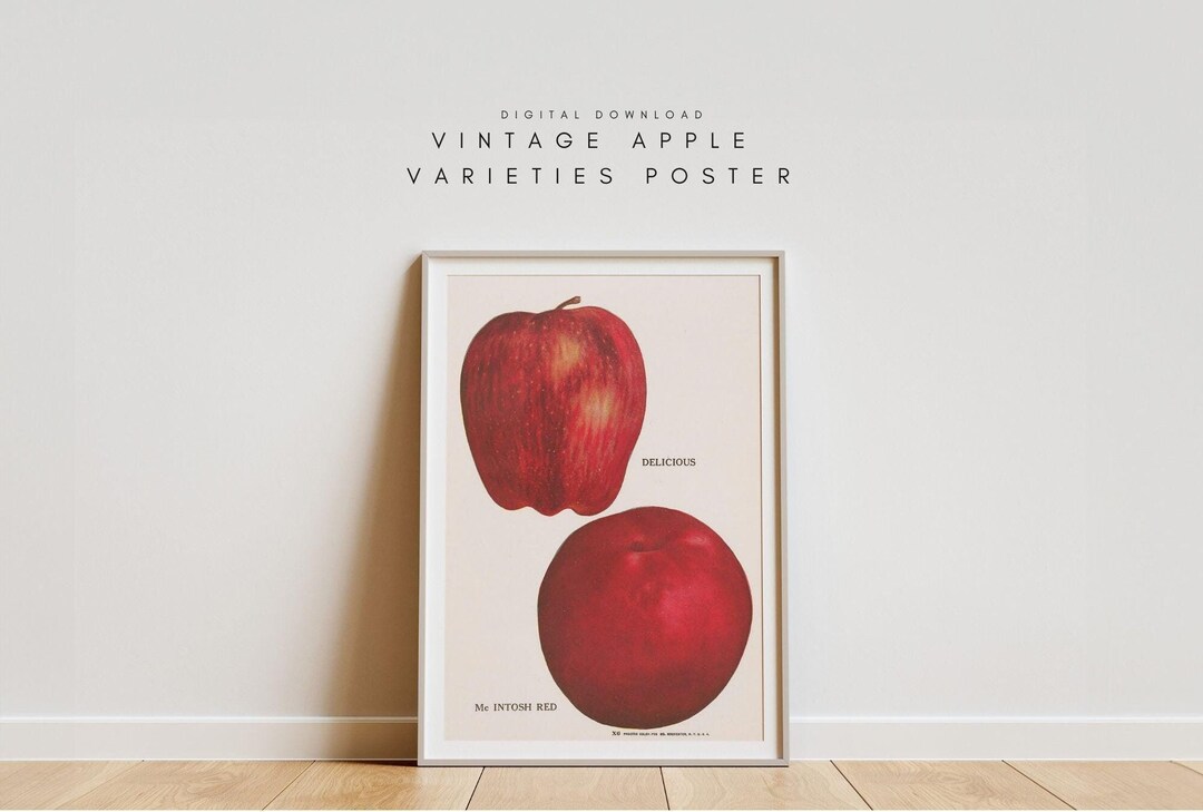 Vintage Apple Varieties Poster Antique Fruit Art Print Illustration ...