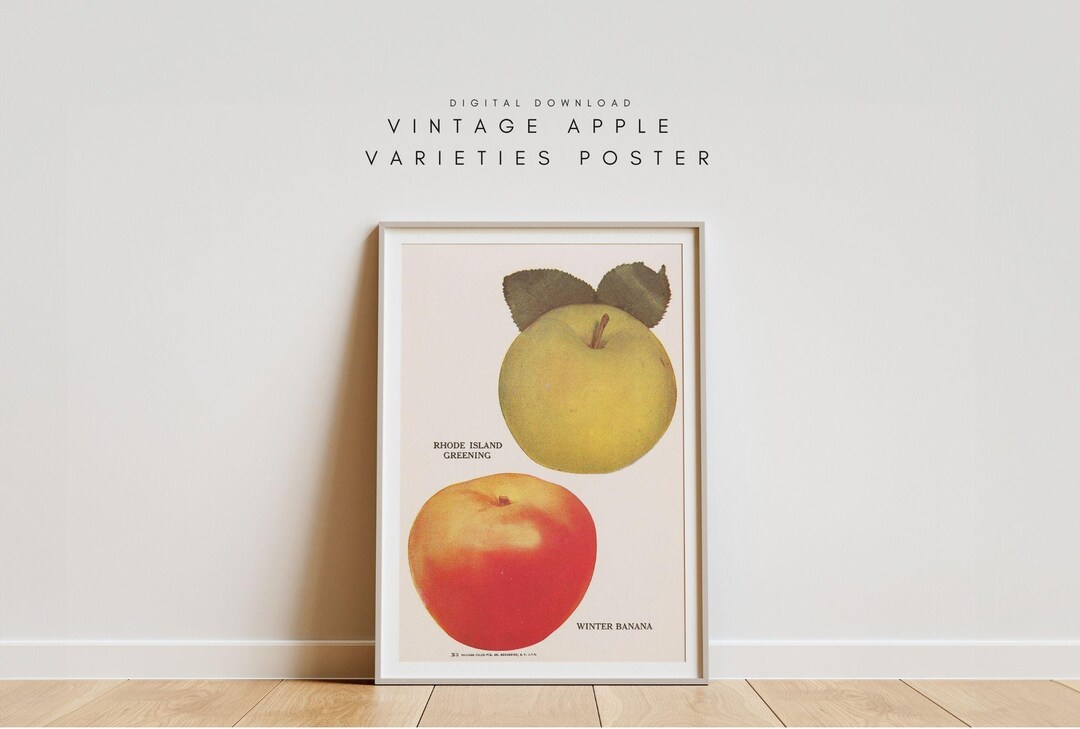 Vintage Green Apple Varieties Poster Antique Fruit Art Print ...