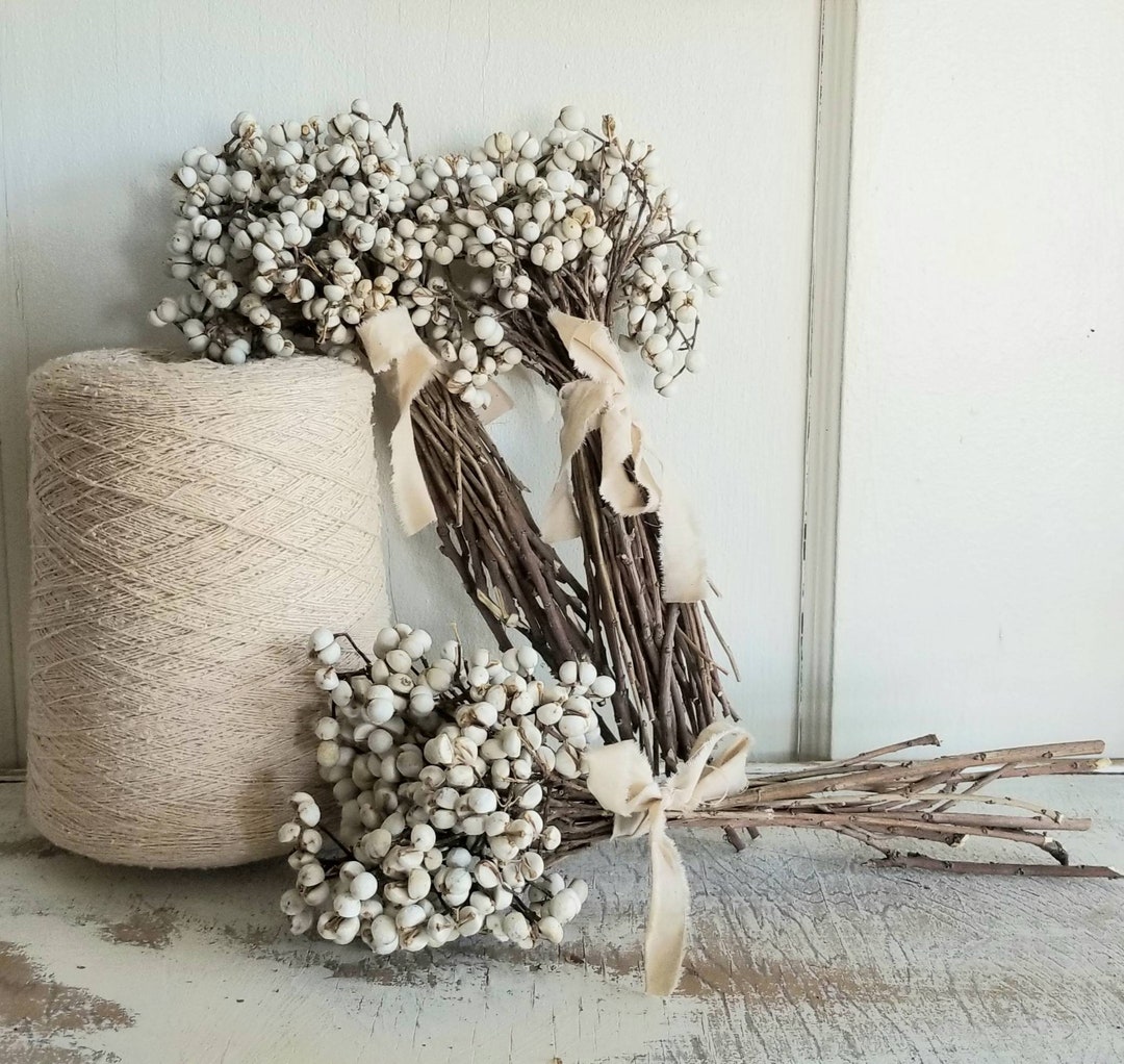 Dried Tallow Berry Bundle - Tallowberries - Cream - Natural Decor ...