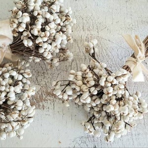 Dried Tallow Berry Bundle - Tallowberries - Cream - Natural Decor ...