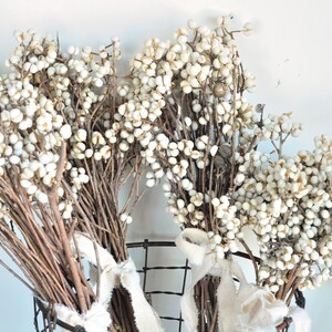 Dried Long Stem Tallow Berry Bundle Tallowberries Natural - Etsy