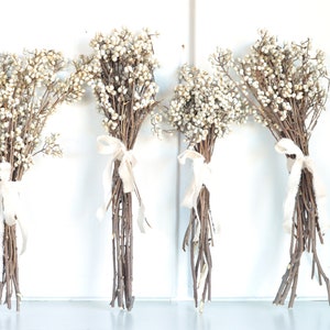 Dried Long Stem Tallow Berry Bundle Tallowberries Natural - Etsy