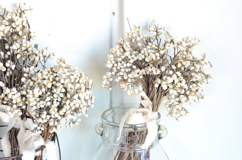 Dried Long Stem Tallow Berry Bundle Tallowberries Natural - Etsy