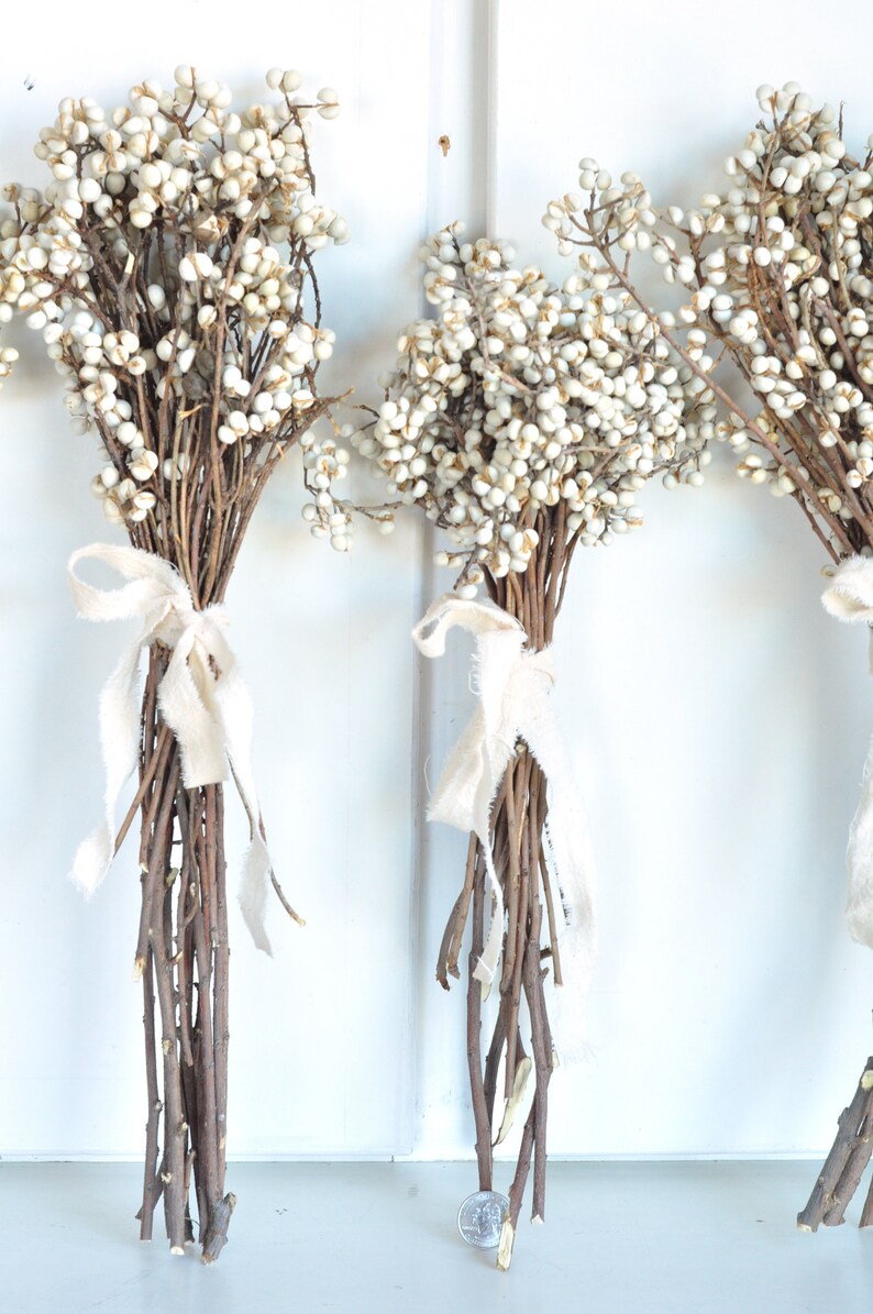 Dried Long Stem Tallow Berry Bundle Tallowberries Natural - Etsy