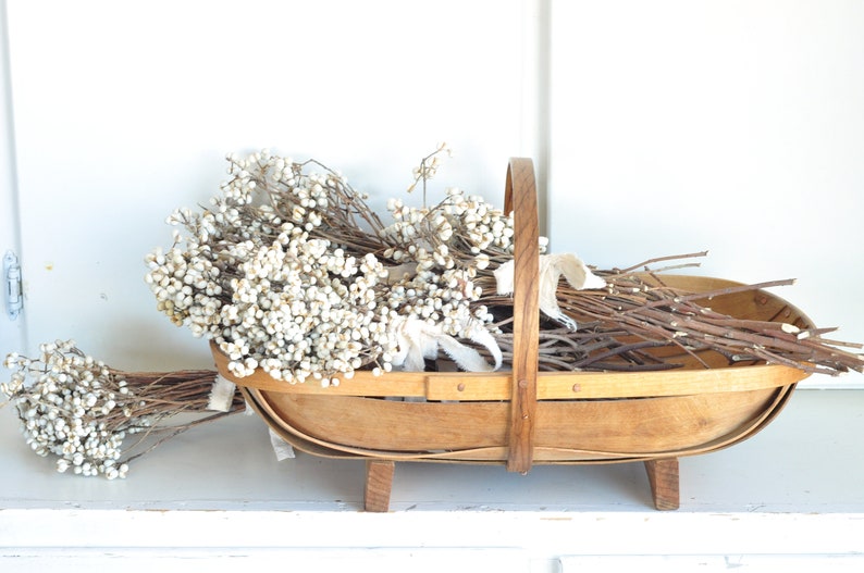 Dried Long Stem Tallow Berry Bundle Tallowberries Natural - Etsy