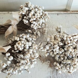 Dried Tallow Berry Bundle - Tallowberries - Cream - Natural Decor ...