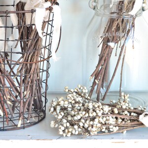 Dried Long Stem Tallow Berry Bundle Tallowberries Natural - Etsy