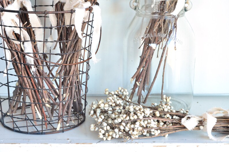 Dried Long Stem Tallow Berry Bundle Tallowberries Natural - Etsy