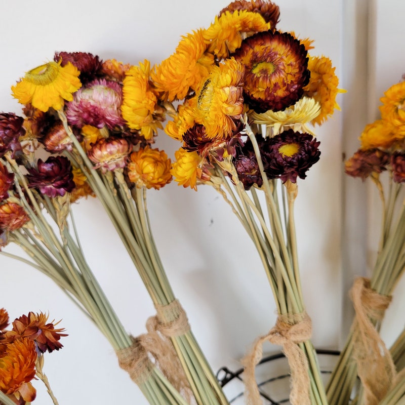 Straw Flowers - Etsy