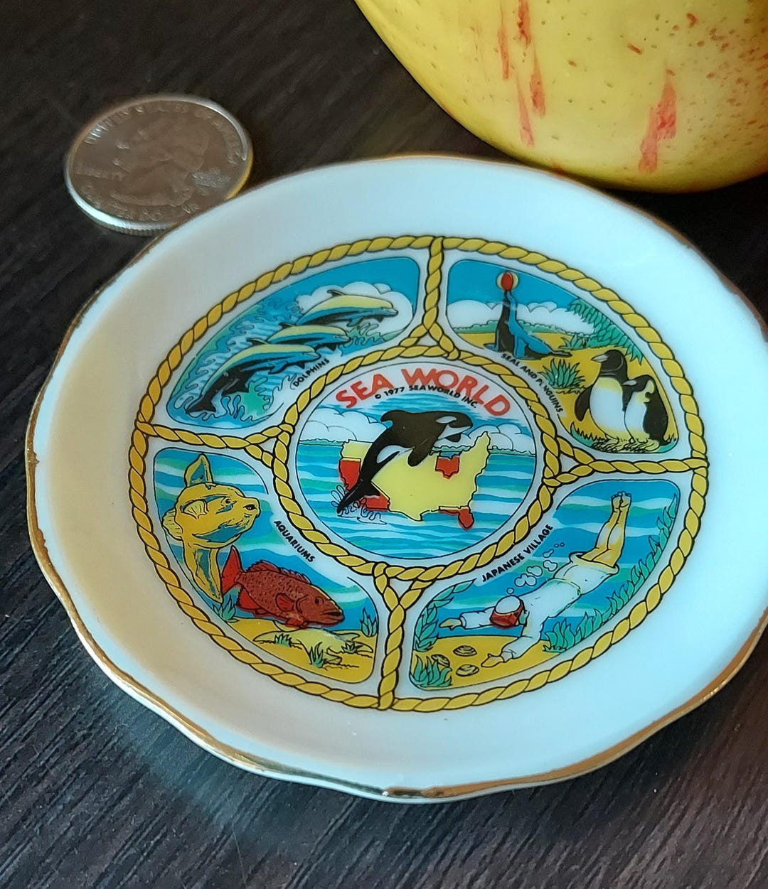 Sea World 1977 Vintage Miniature Collectible Plate Featuring Shamu! - Etsy