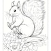 Wildlife Coloring Pages: Jungle, Forest, Safari Animals (instant ...