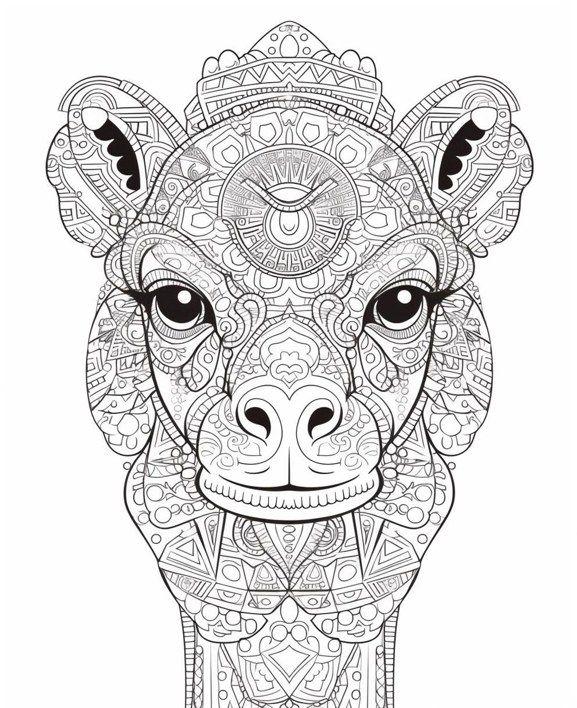Intricate Mandala Animal Designs Digital Download for Coloring & Crafts ...