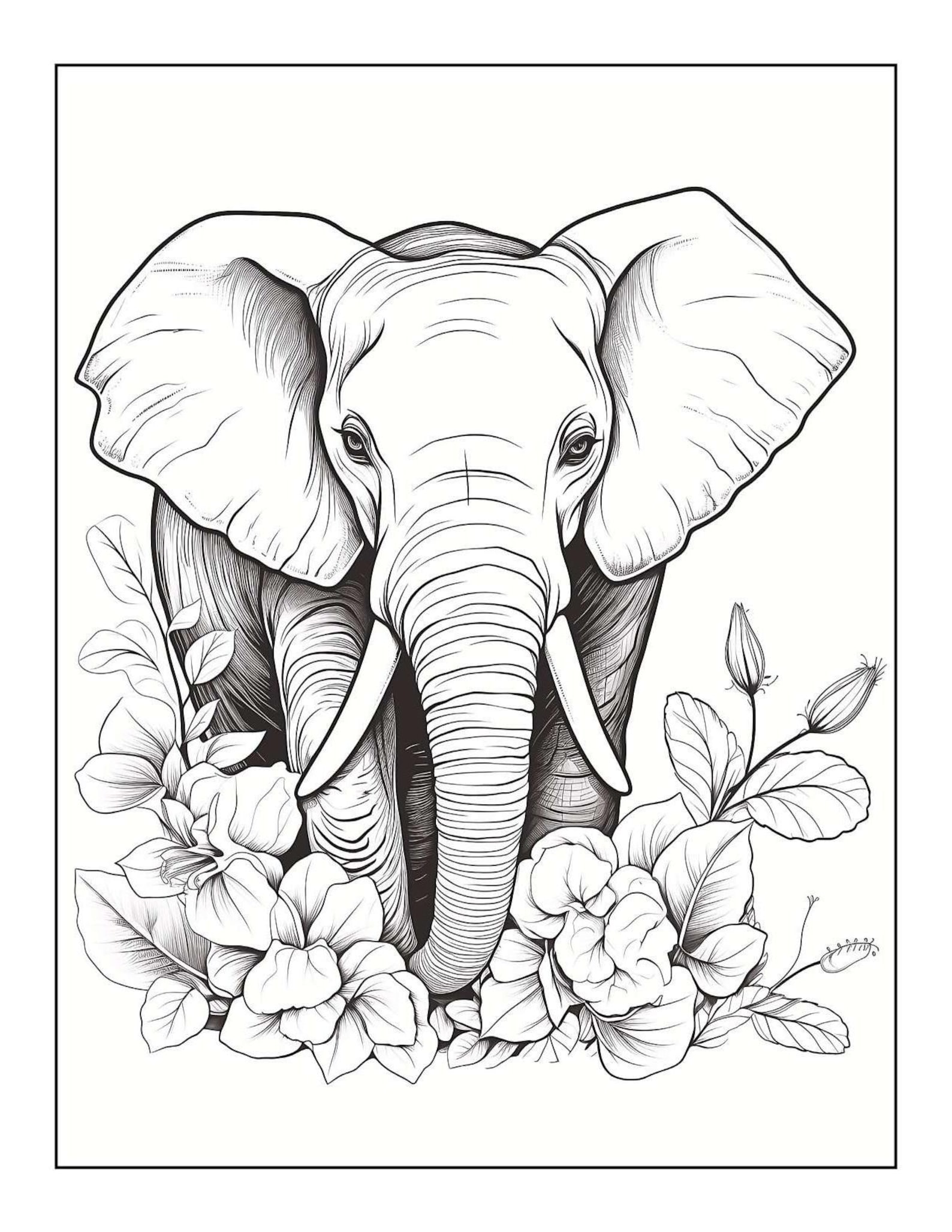 Wildlife Coloring Pages: Jungle, Forest, Safari Animals (instant ...