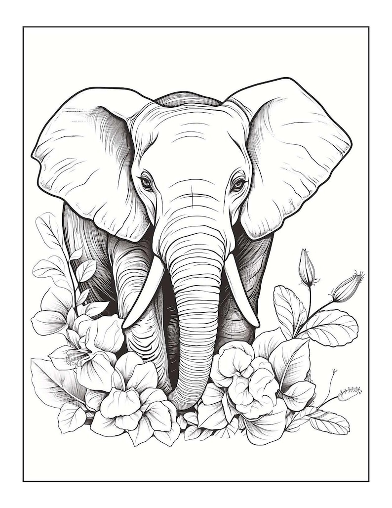 Wildlife Coloring Pages: Jungle, Forest, Safari Animals (instant ...