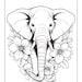 Wildlife Coloring Pages: Jungle, Forest, Safari Animals (instant ...
