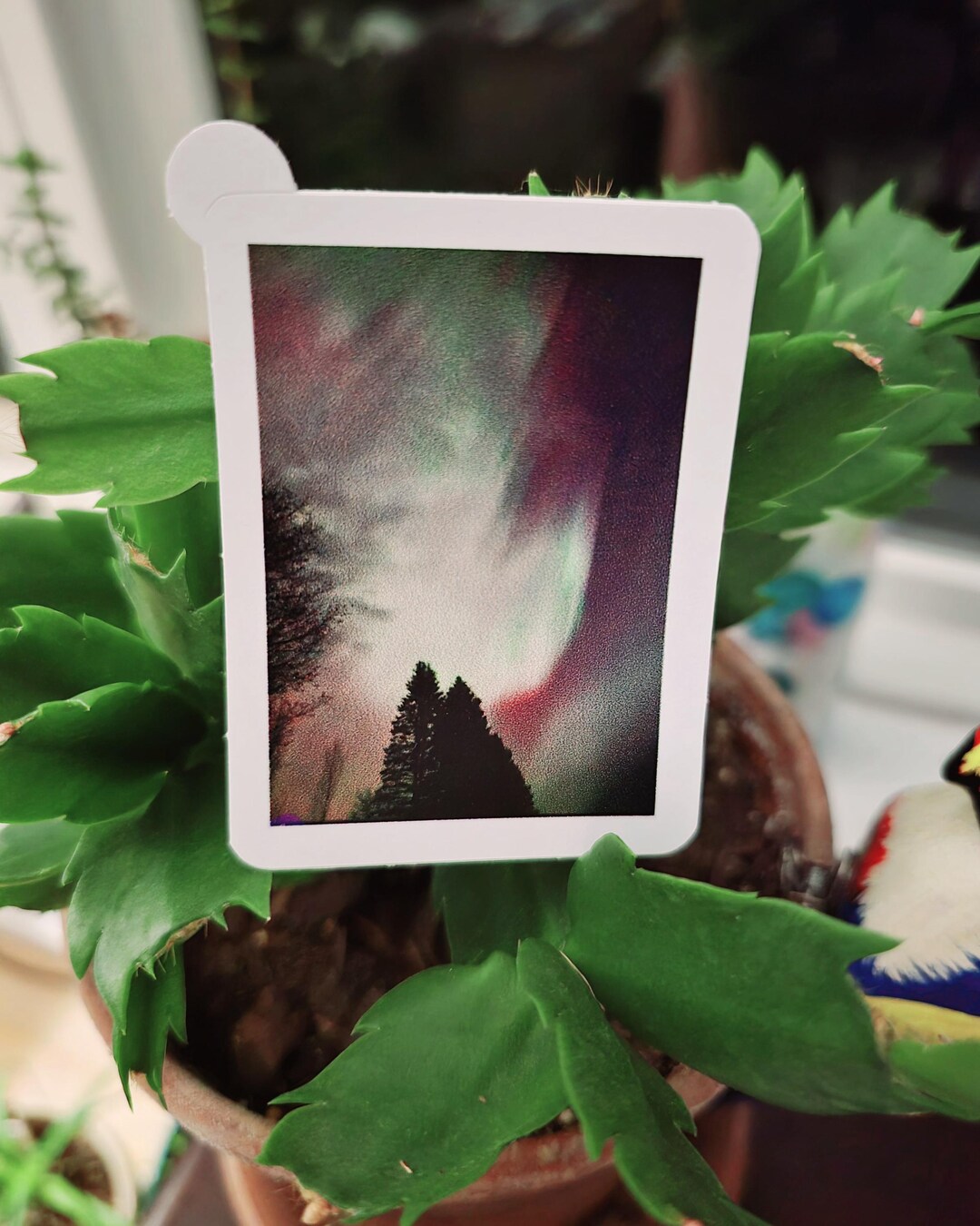 Northern Lights Sticker - Etsy
