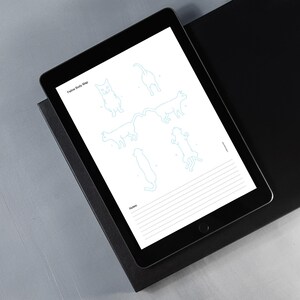 Feline Body Map - Blue Outline | Cat Body Map | Cat Line Art | Cat ...