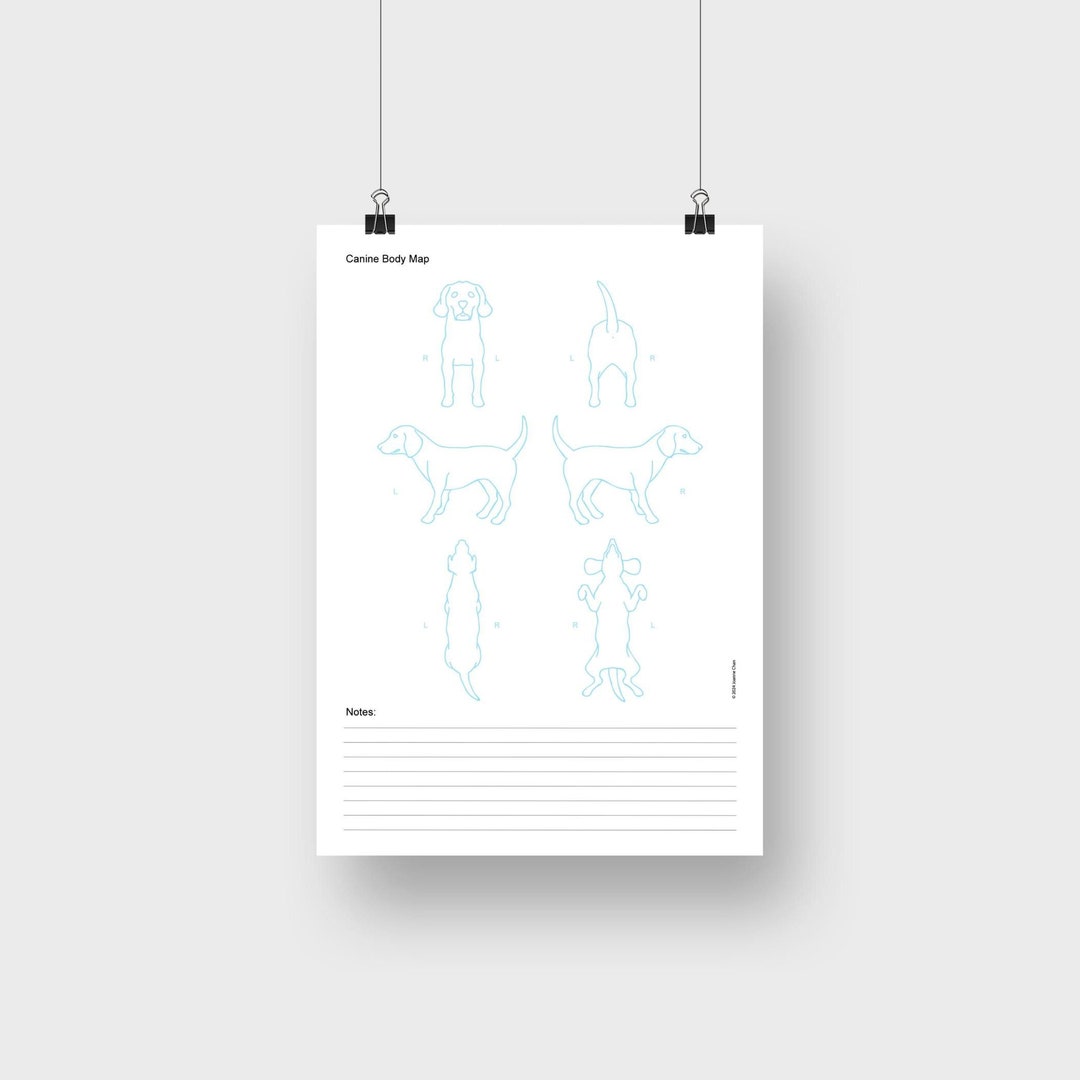 Canine Body Map - Blue Outline | Dog Body Map | Dog Line Art | Dog ...