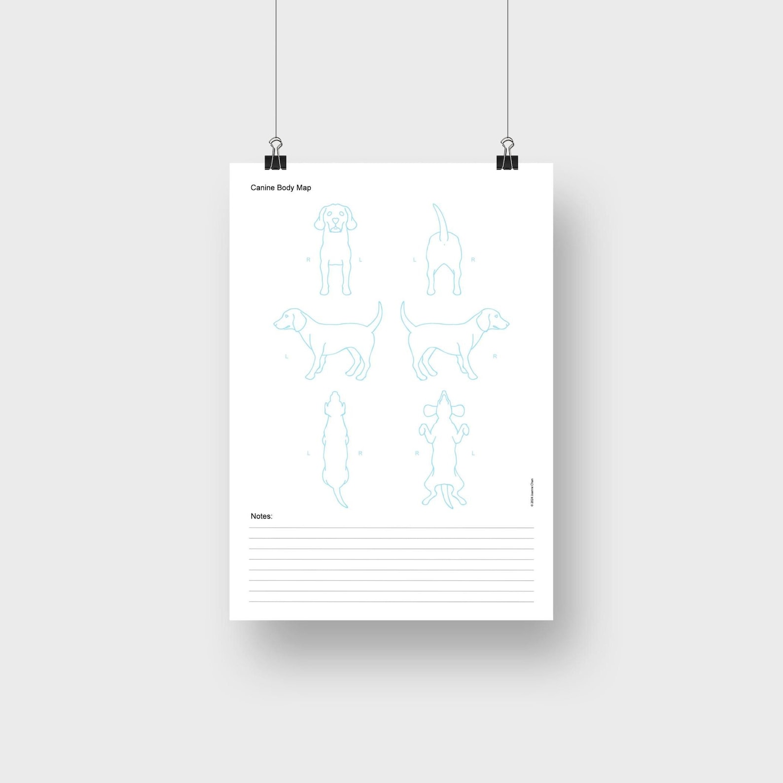Canine Body Map - Blue Outline | Dog Body Map | Dog Line Art | Dog ...
