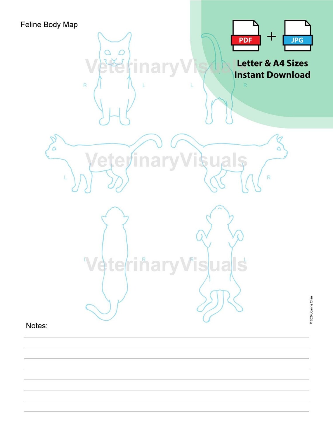 Feline Body Map - Blue Outline | Cat Body Map | Cat Line Art | Cat ...