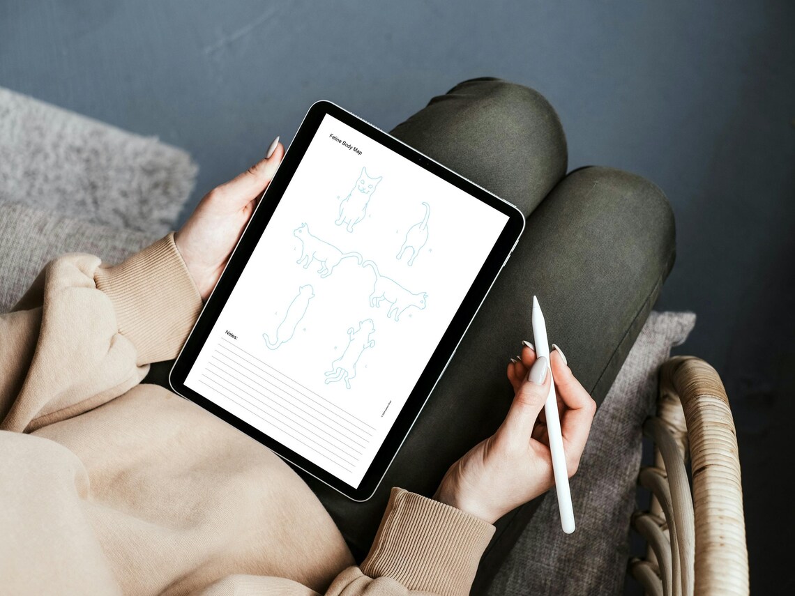 Feline Body Map - Blue Outline | Cat Body Map | Cat Line Art | Cat ...