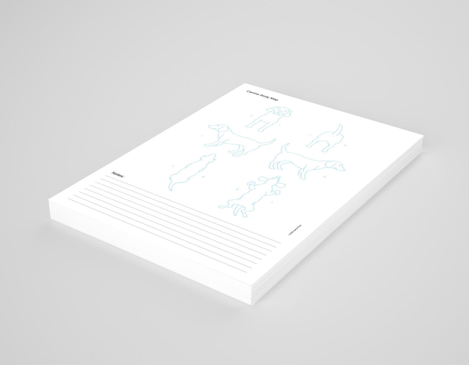 Canine Body Map - Blue Outline | Dog Body Map | Dog Line Art | Dog ...