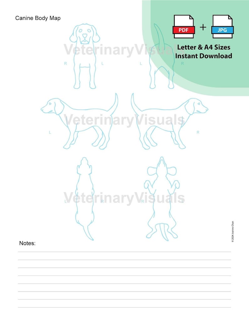 Canine Body Map - Blue Outline | Dog Body Map | Dog Line Art | Dog ...