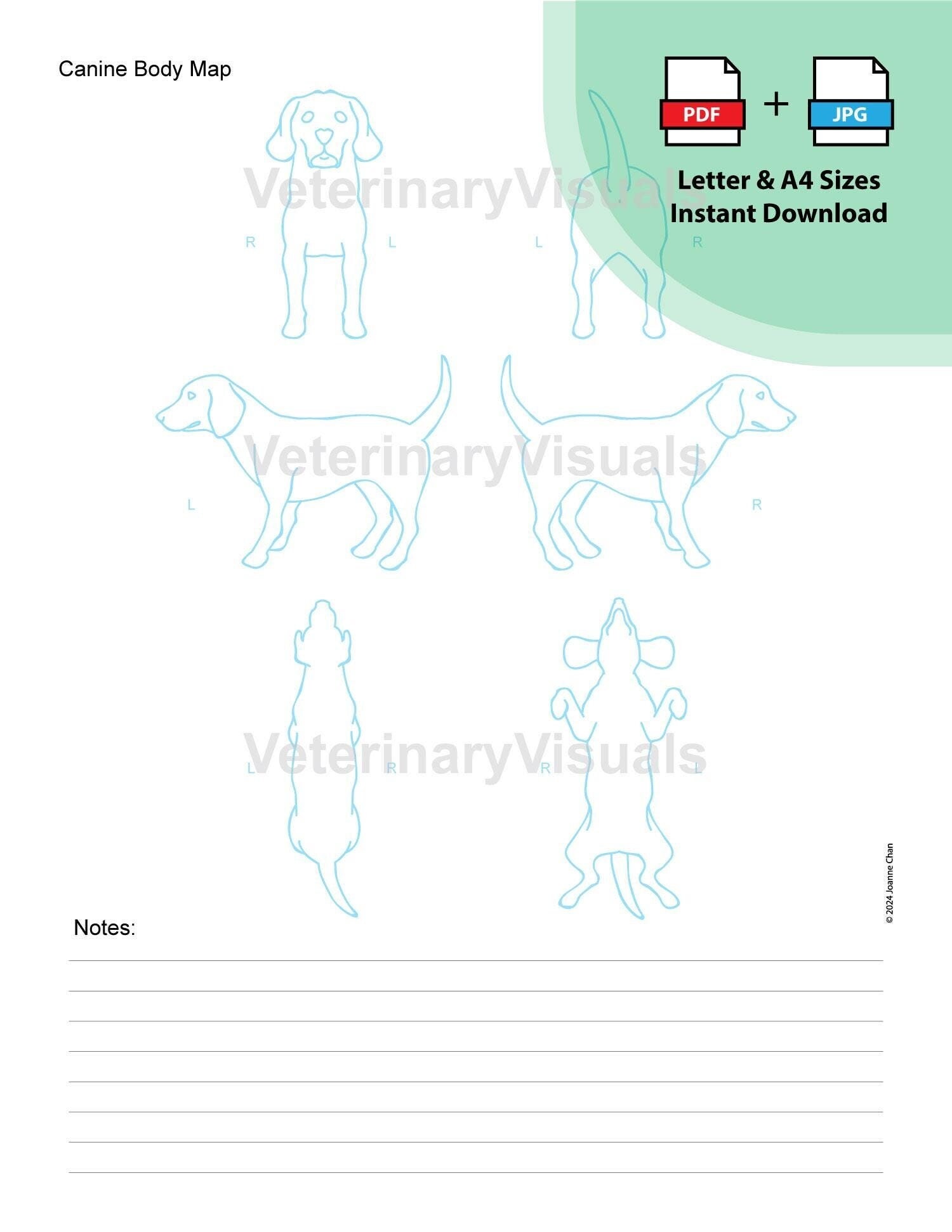 Canine Body Map - Blue Outline | Dog Body Map | Dog Line Art | Dog ...