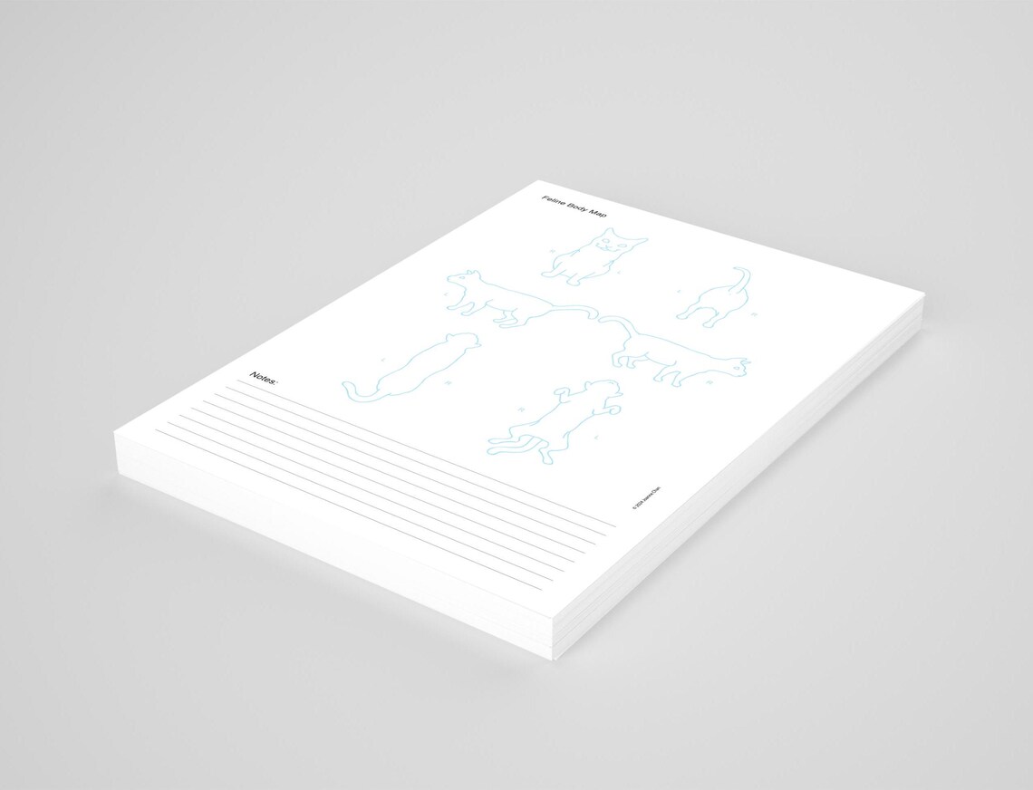 Feline Body Map - Blue Outline | Cat Body Map | Cat Line Art | Cat ...