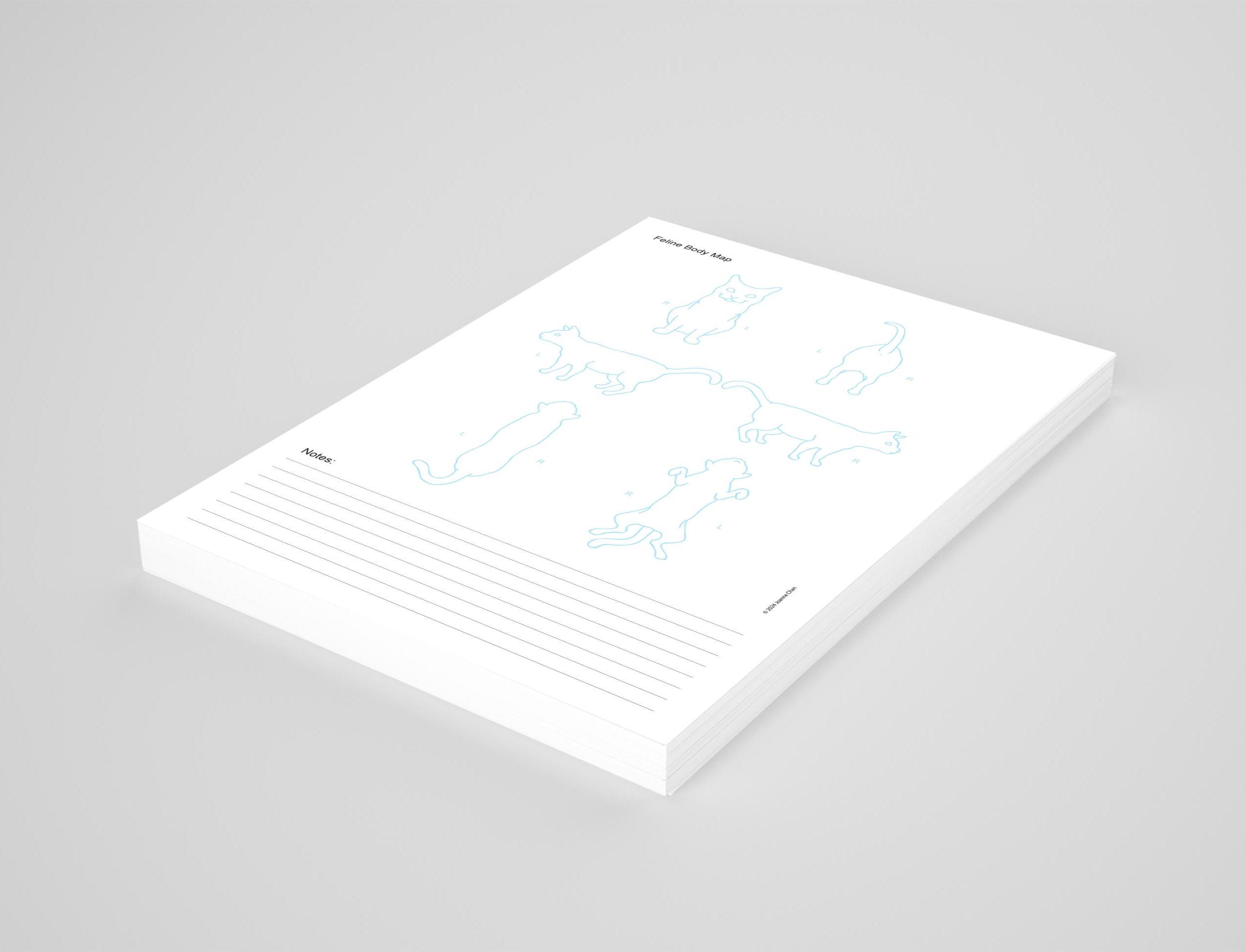 Feline Body Map - Blue Outline | Cat Body Map | Cat Line Art | Cat ...