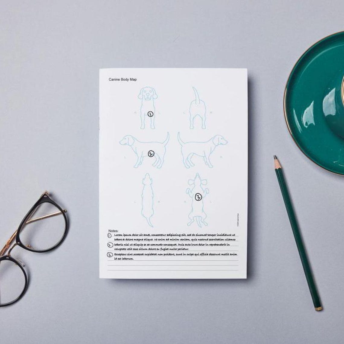 Canine Body Map - Blue Outline | Dog Body Map | Dog Line Art | Dog ...