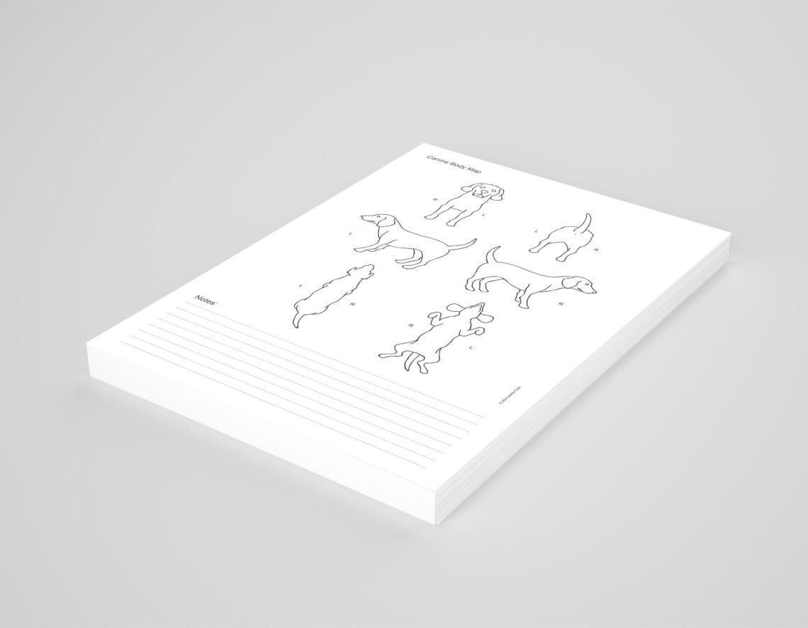 Canine Body Map - Black Outline | Dog Body Map | Dog Line Art | Dog ...