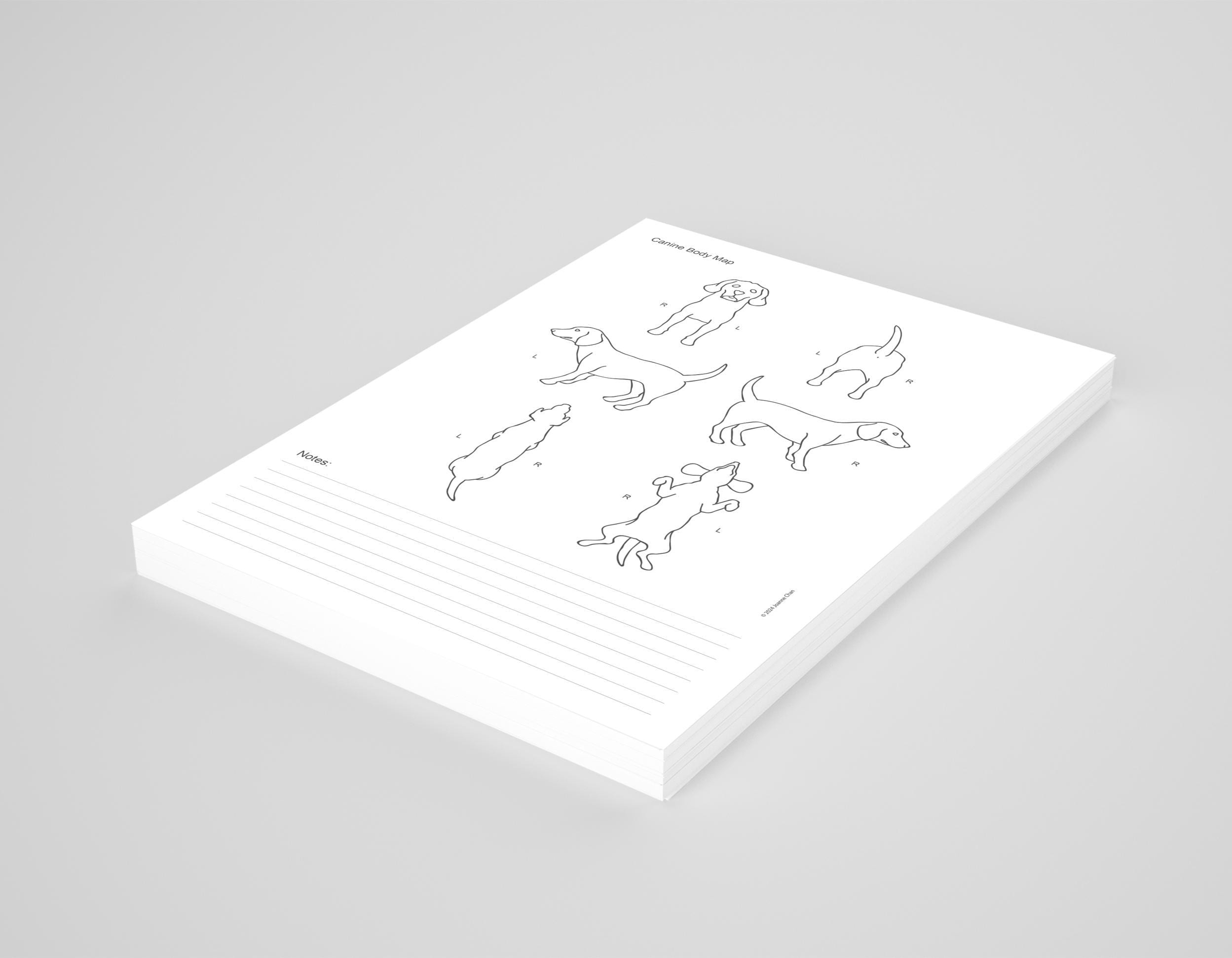 Canine Body Map - Black Outline | Dog Body Map | Dog Line Art | Dog ...