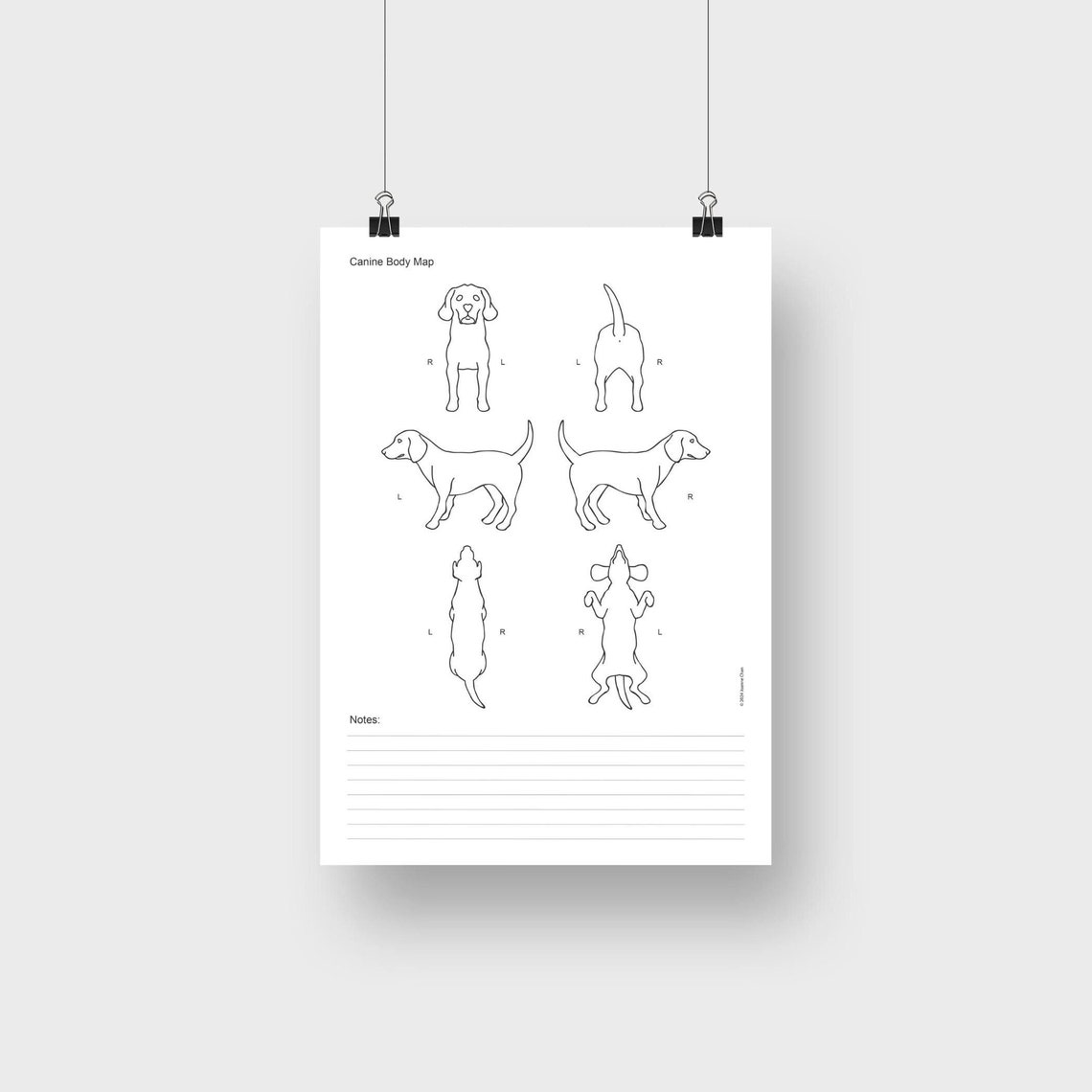 Canine Body Map - Black Outline | Dog Body Map | Dog Line Art | Dog ...