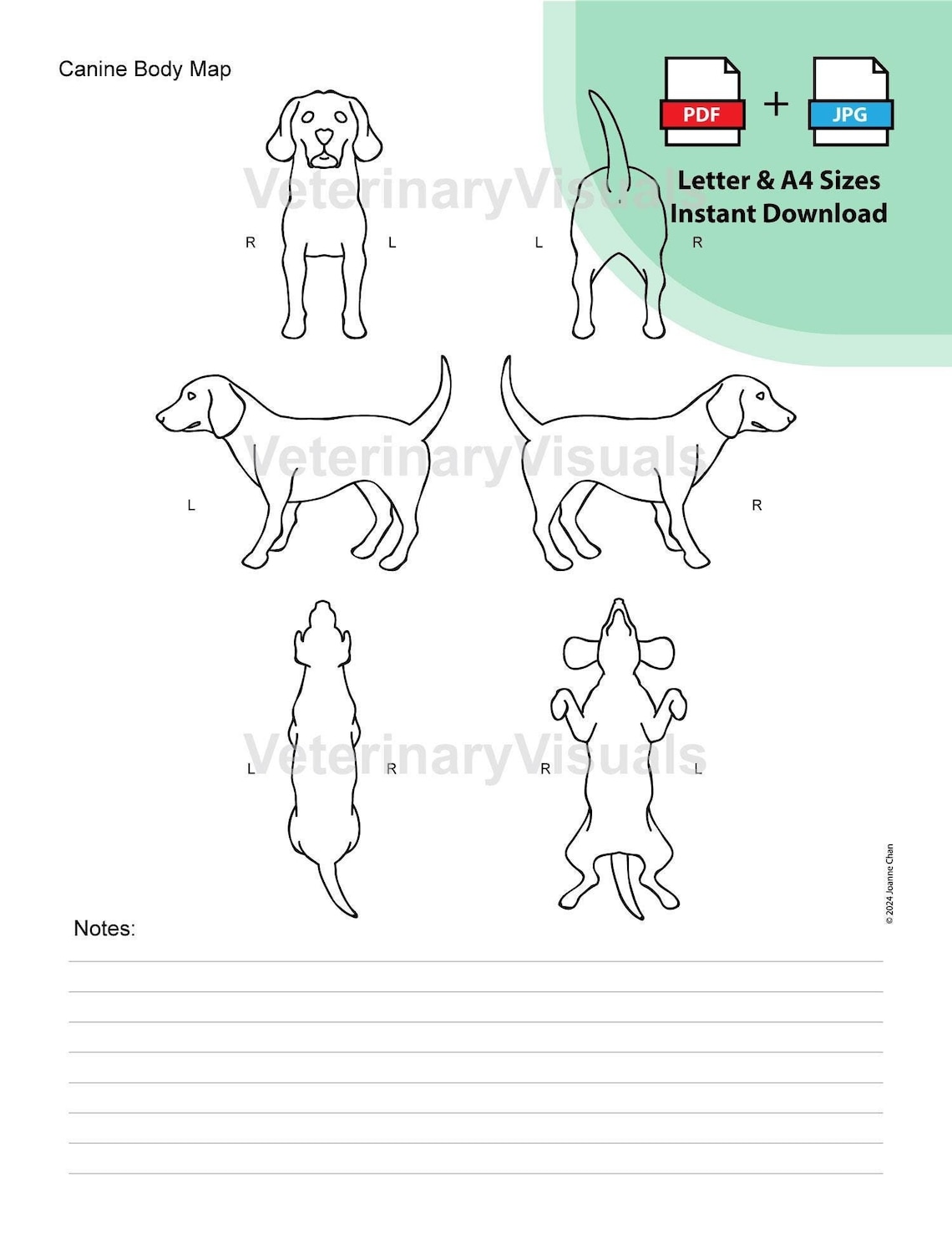 Canine Body Map - Black Outline | Dog Body Map | Dog Line Art | Dog ...