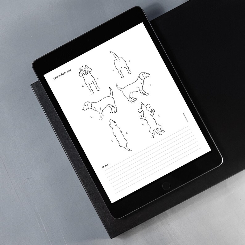 Canine Body Map - Black Outline | Dog Body Map | Dog Line Art | Dog ...