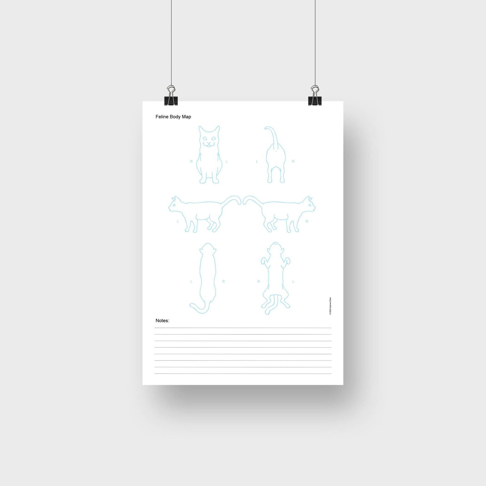 Feline Body Map - Blue Outline | Cat Body Map | Cat Line Art | Cat ...