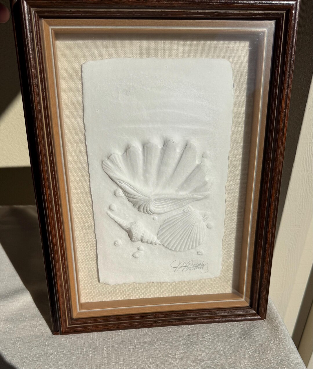Sea Shells on Paper/pulp/mache, Wood Frame, Signed by Artist, Scallop ...