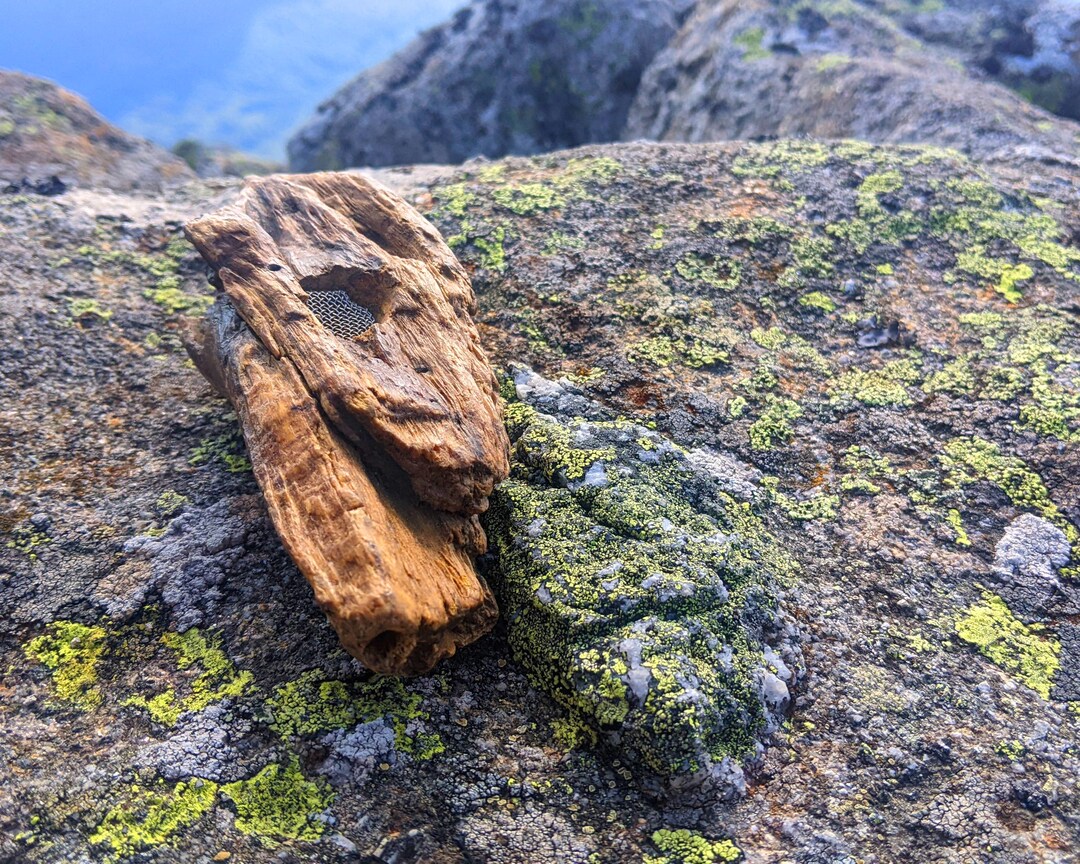 Himalayan Driftwood Pipe – Ancient Natural Form - Etsy
