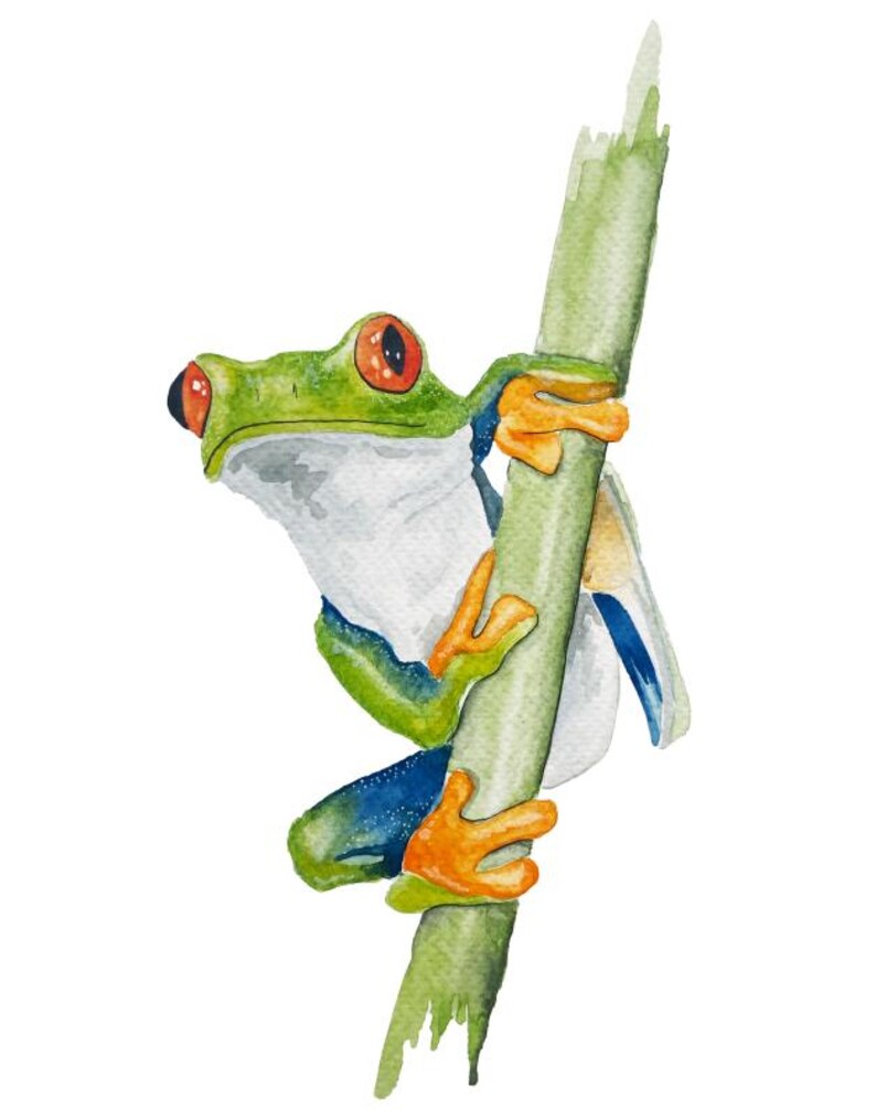 Watercolor Print- Tree Frog - Etsy