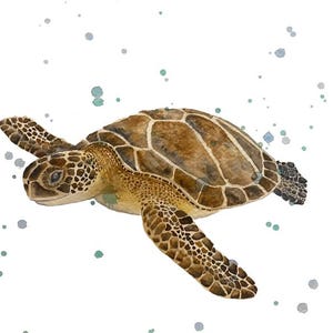 Watercolor Print-sea Turtle - Etsy