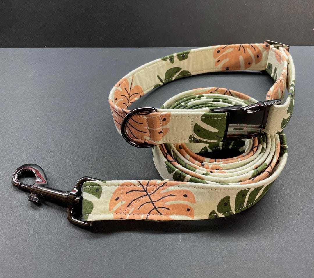 Monstera Dog/cat Collar and Leash Set, Handmade to Custom Sizing - Etsy