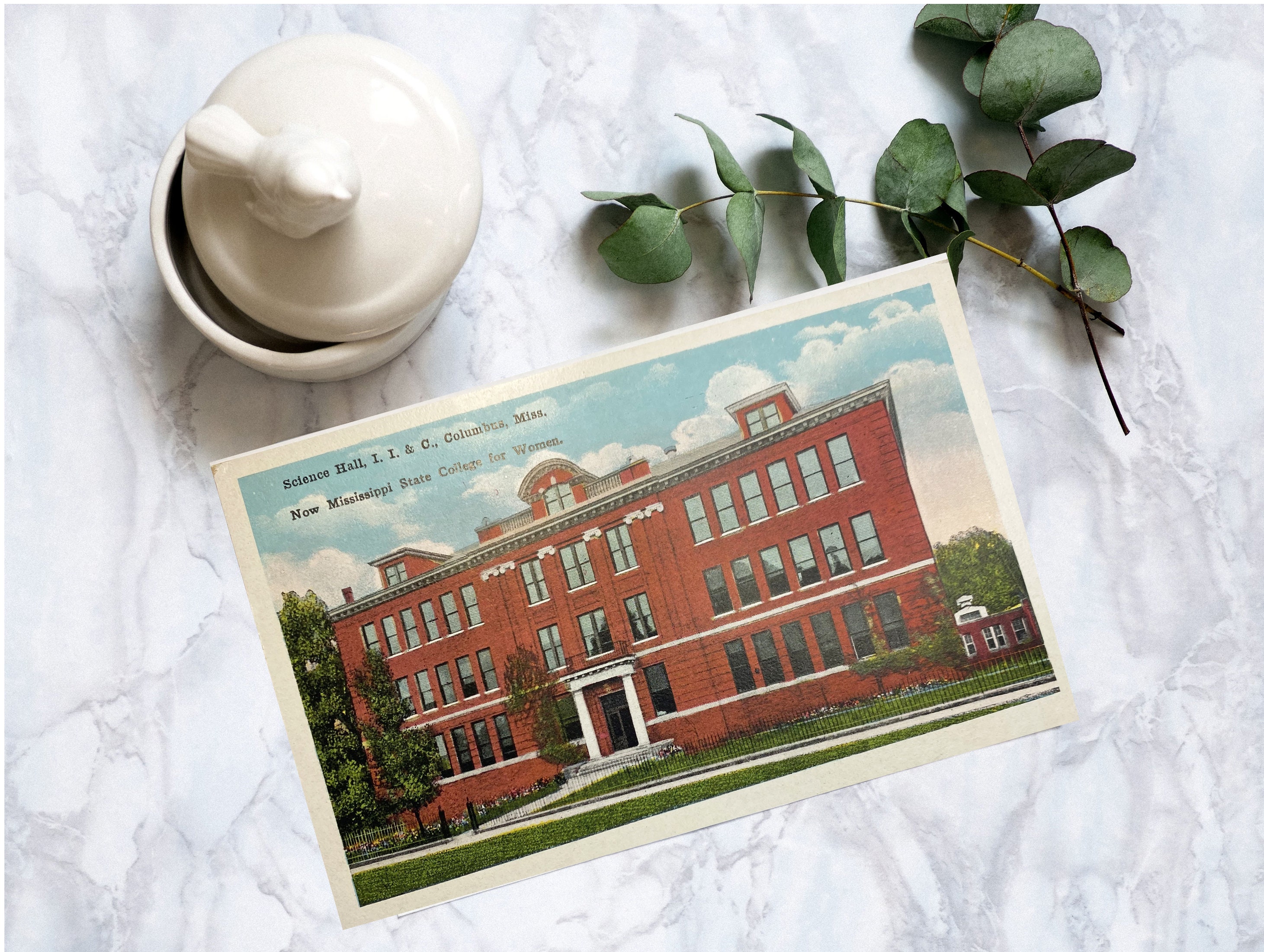 Vintage Post Cards, Set of 6 State Travel Post Cards, Columbus ...