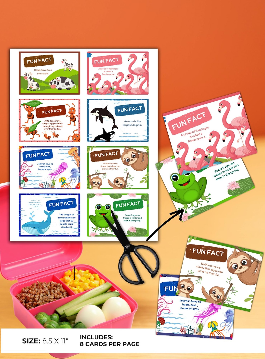 Printable Lunchbox Notes for Kids Animal Trivia Fun Facts Homeschool ...