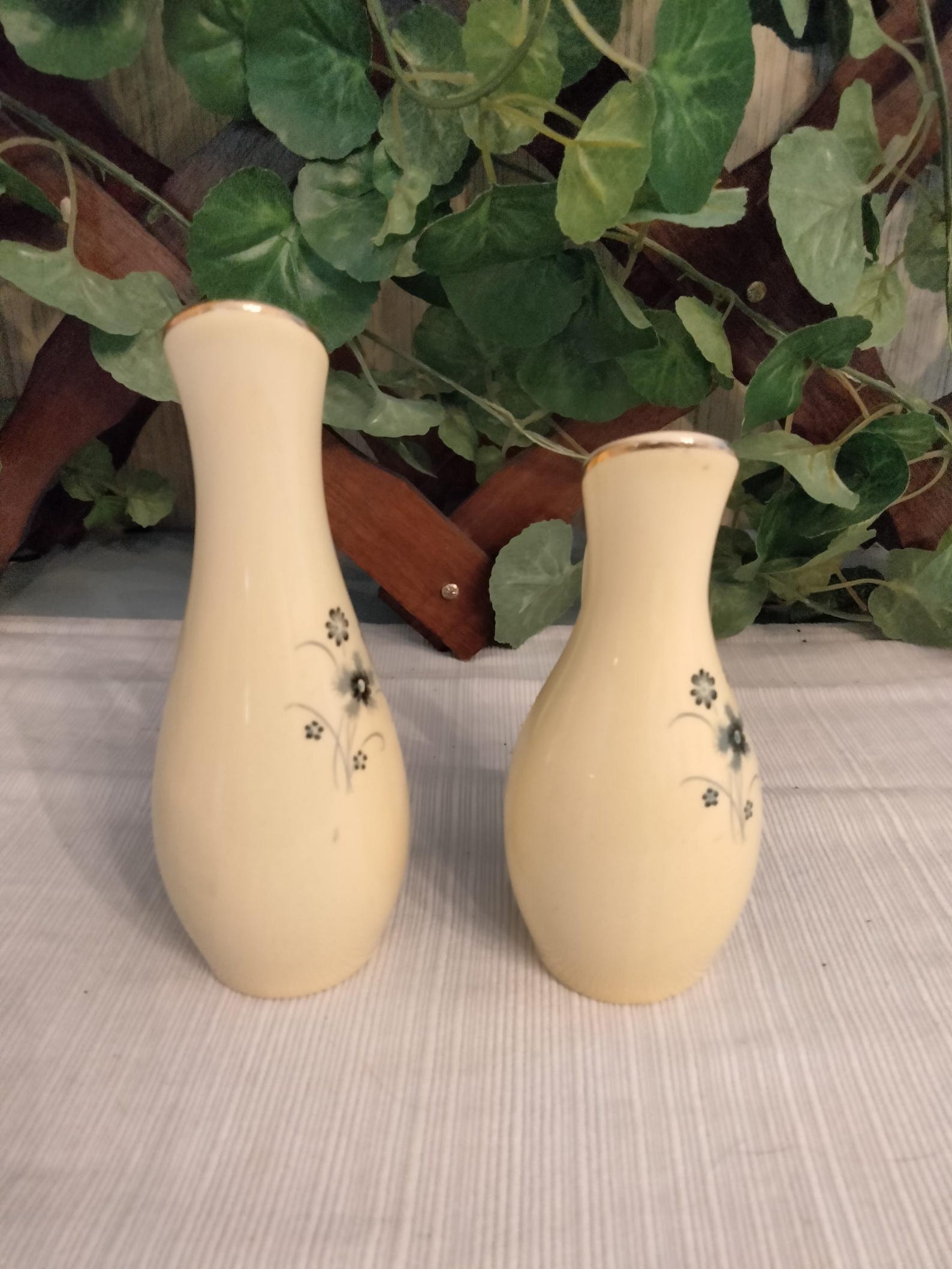 TS&T Silver Mist Lu-ray Yellow Salt and Pepper Shaker Set 1950s - Etsy