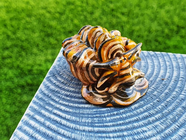 Seaslugs Nudibranch Handmade - Cyerce Nigra Bergh, 1871 - Etsy
