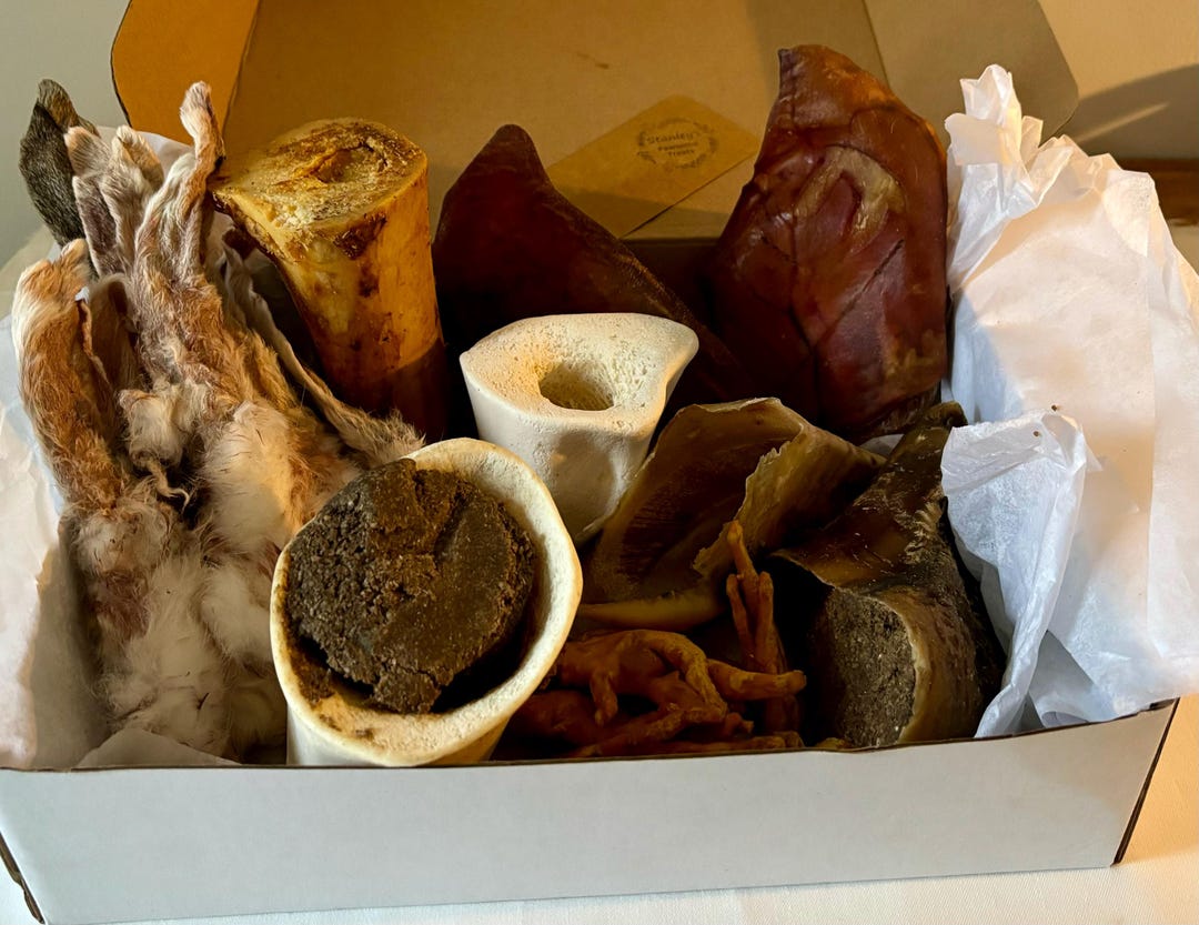 Big Dog Treat Box for Larger Dogs. Contains 17 Large Longer Lasting ...