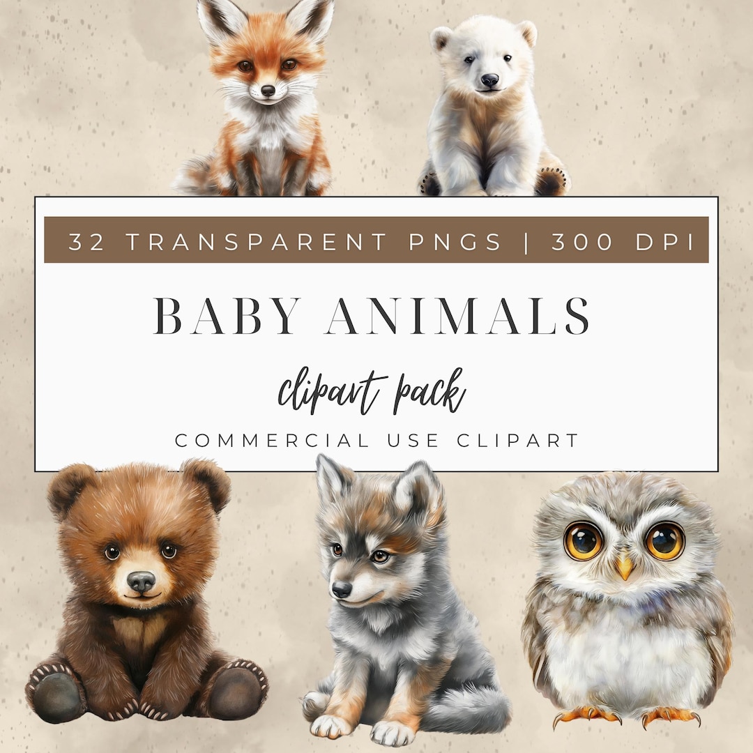 Baby Animals Clipart Bundle, 32 PNG Safari Animal Clipart, Forest ...